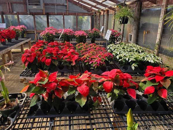 Fanick Garden Center and Nursery